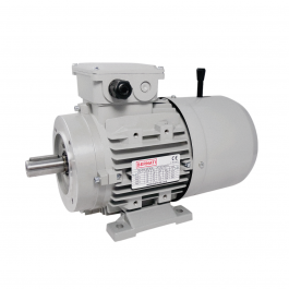 9.20kW Frame 132L 1500rpm B3/B14 - Three Phase DC brake IEC Electric ...